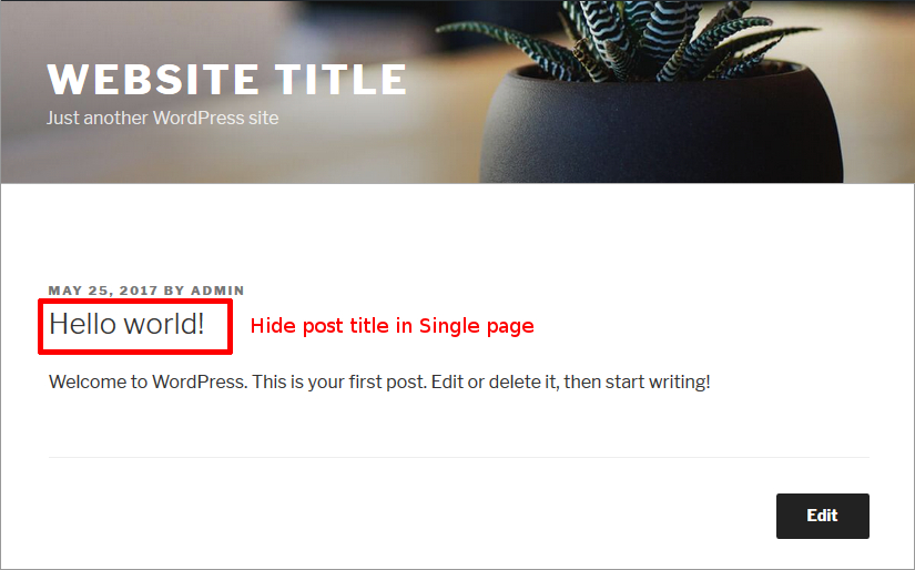 How To Remove Page Title In WordPress TemplateToaster Blog